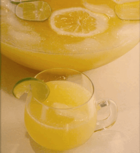 Italian Sparkling Citrus Punch - Westside Liquor
